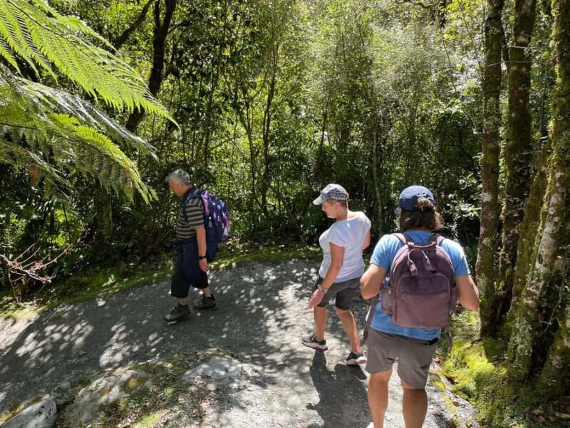 Franz Josef: Franz Josef Glacier Lookout Guided Walk - Guides: The Heart of the Experience