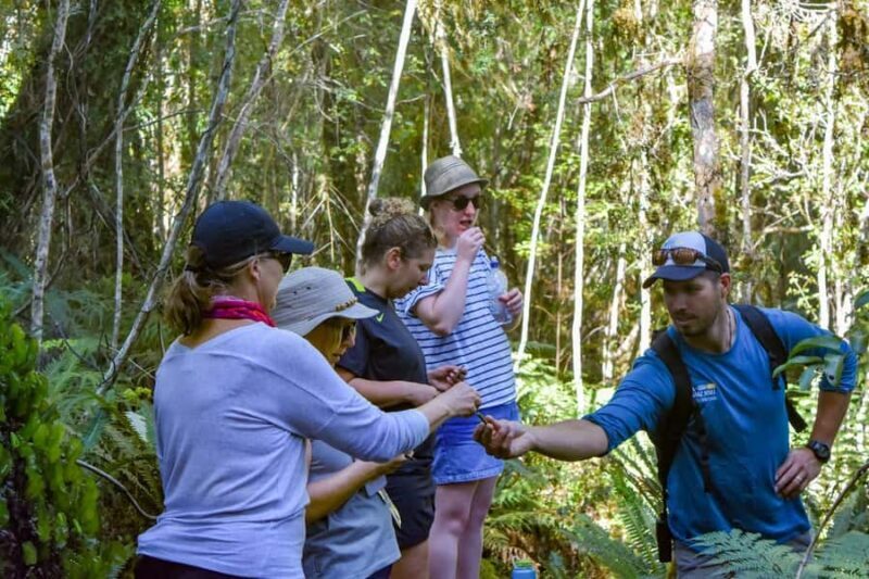 Franz Josef Glacier: 2.5-Hour Lake Mapourika Cruise and Walk - Practical Details & Tips