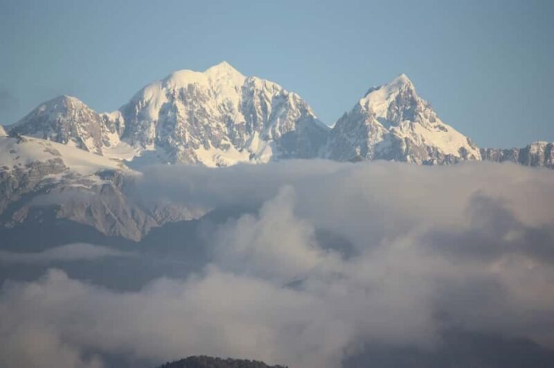 Franz Josef: Half-Day Guided Tour to Okarito - Key Points