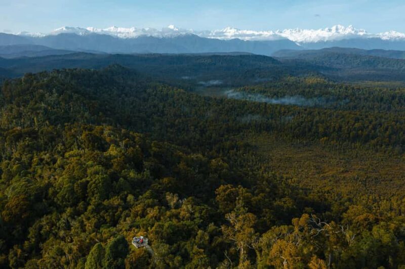 Franz Josef: Half-Day Guided Tour to Okarito - An In-Depth Look at What to Expect