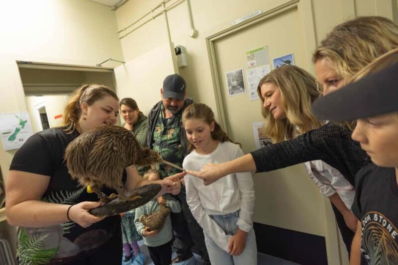 Franz Josef: Kiwi VIP Backstage Pass Tour -Booking Essential - What Is the Kiwi VIP Backstage Pass Tour?