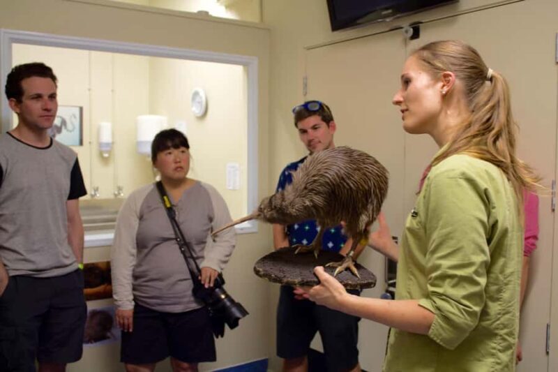 Franz Josef: Kiwi VIP Backstage Pass Tour -Booking Essential - Who Should Consider This Tour?