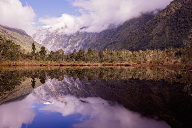 Franz Josef Nature Tour - The Full Experience: What to Expect and Why It Matters