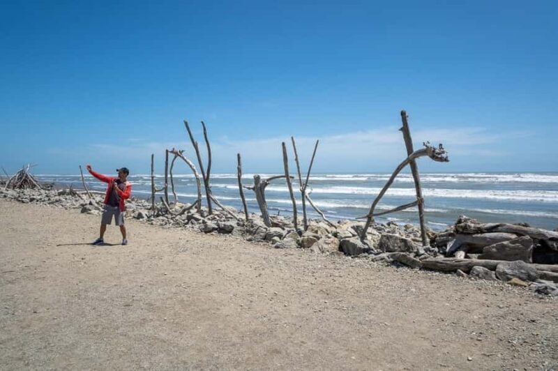 Franz Josef to Christchurch 1 Way Tour inc TranzAlpine Train - Who This Tour Is Best For