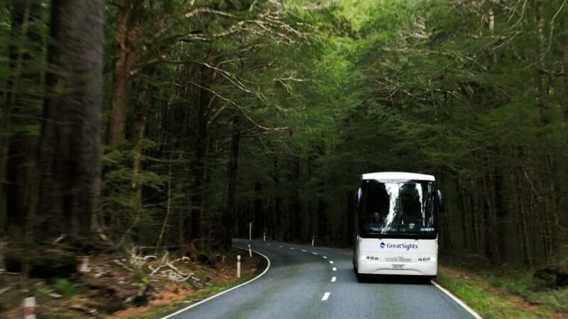 Franz Josef to Queenstown Day Tour - An Overview of the Journey from Franz Josef to Queenstown