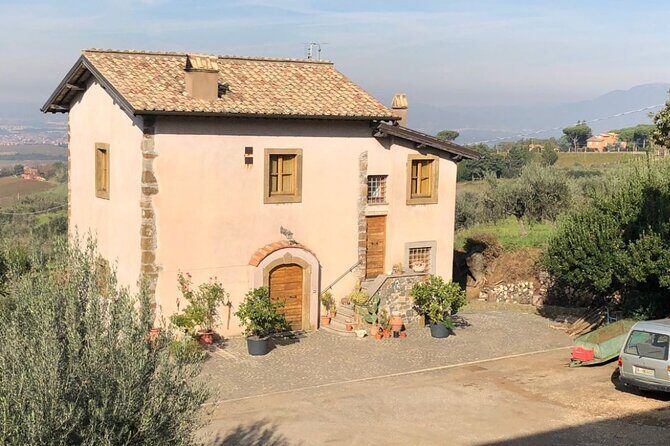 Frascati Day Tour: Road from Rome with Wine Tasting & Lunch - A Deep Dive into the Tour Experience