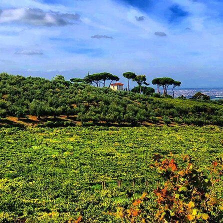 Frascati Wine Tasting Tour: The Flavors of the Roman Countryside - FAQ