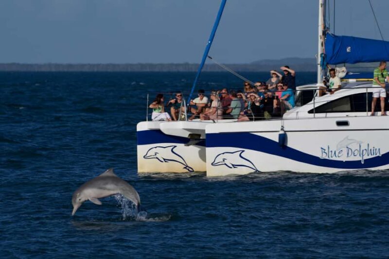 Fraser Island 4-Hour Eco-Sailing Adventure - The Water-Based Fun: Boom Net, AquaMat, and Swimming