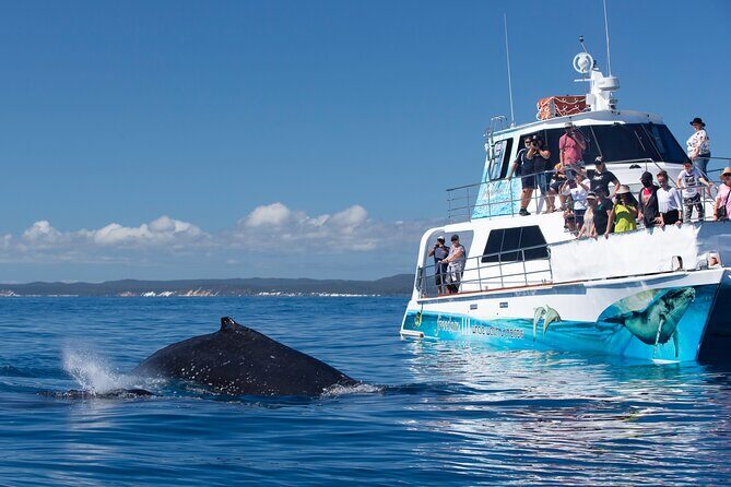Fraser Island & Dolphin Sailing Adventure - Final Thoughts: Who Will Love This Tour?