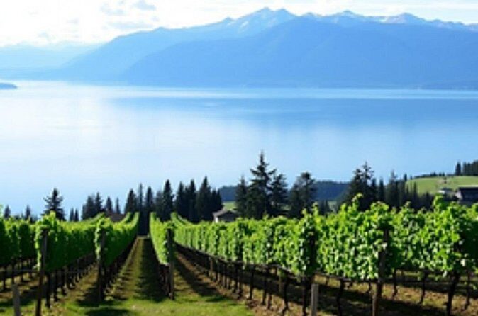 Fraser Valley Wine Escape Full Day Tour from Vancouver - A Detailed Look at the Fraser Valley Wine Escape Tour