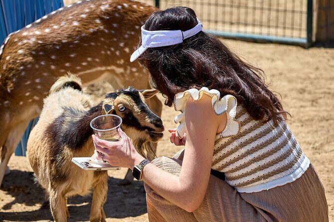 Fredericksburg Safari Tour With Wine Tasting - What Could Be Improved