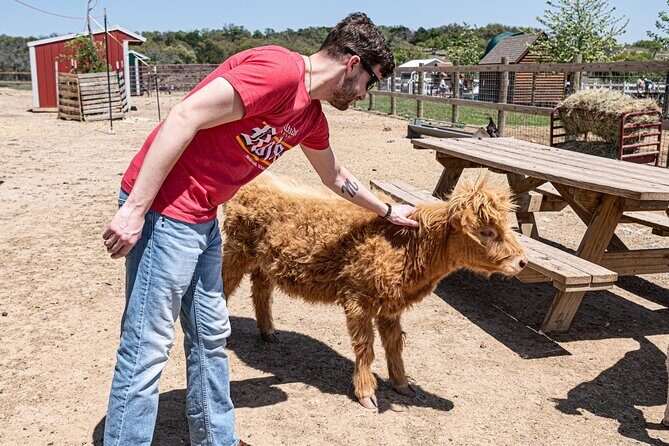 Fredericksburg Safari Tour Without Wine Tasting - Final Thoughts: Is It Worth It?