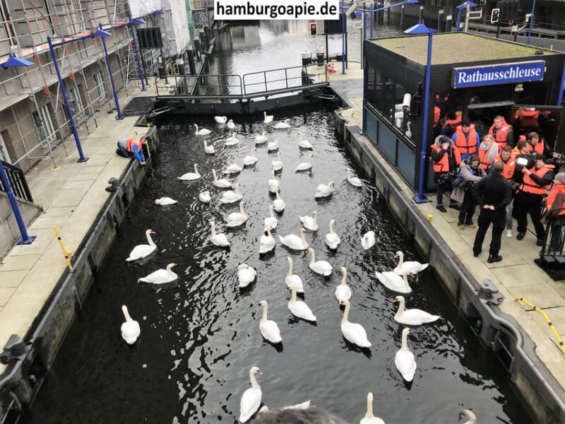 Free tour: Centro Histórico. Tú decides el precio al final - FAQ