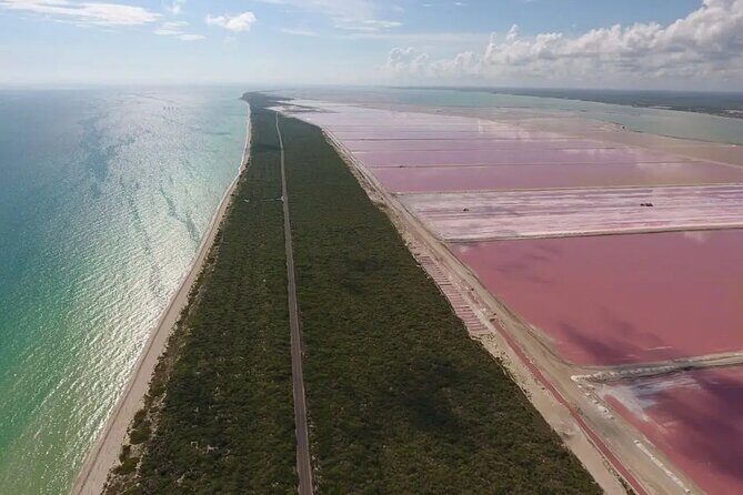 Free Yourself at Las Coloradas Natural Pink Lake! Tour from Playa Del Carmen - An In-Depth Look at the Tour Experience