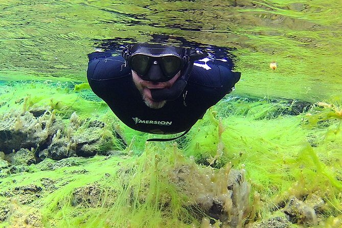 Freedive Silfra Half Day Tour - The Sum Up