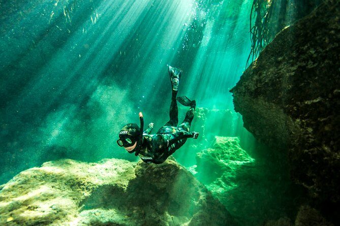 Freediving Intro for Beginners in a Cenote in Tulum Mexico - What Makes This Freediving Tour Stand Out?