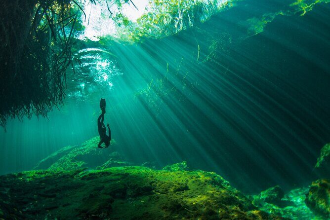 Freediving Intro for Beginners in a Cenote in Tulum Mexico - Pricing and Value