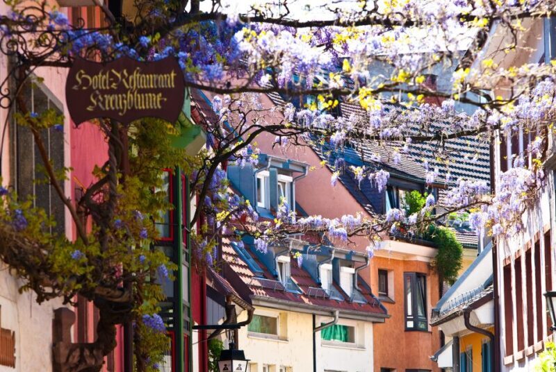 Freiburg: Gässle, Bächle and More City Tour - Key Points