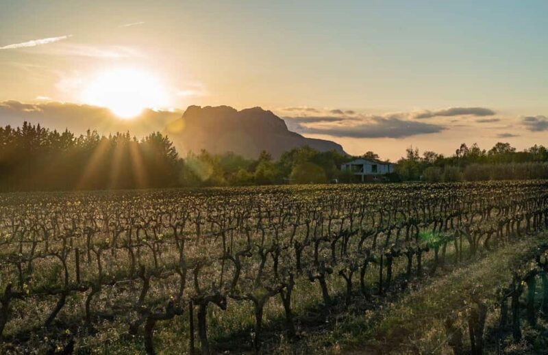 Fréjus: Cave tour and wine tasting - A Closer Look at the Fréjus Cave Tour and Wine Tasting