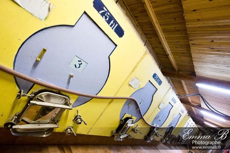 Fréjus: Cave tour and wine tasting - The Practical Details: Price, Duration, and Experience