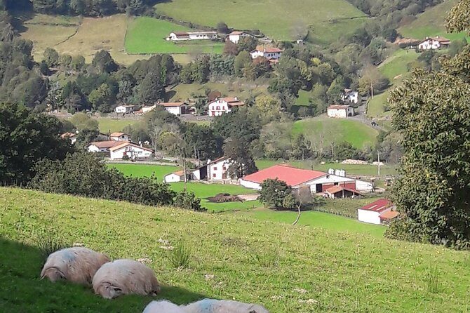 French-Basque Countryside Private tour Discover the hidden beauty of Pyrenees - FAQ