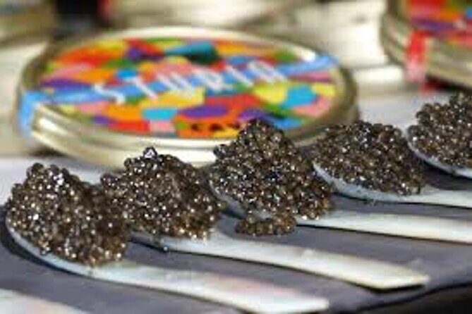 "FRENCH EXCELLENCE" : Fine Wines & Delicacies pairing Workshop - A Closer Look at the "FRENCH EXCELLENCE" Fine Wines & Delicacies Pairing Workshop