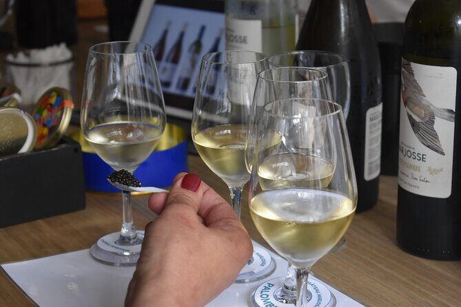 "FRENCH EXCELLENCE" : Fine Wines & Delicacies pairing Workshop - The Sum Up