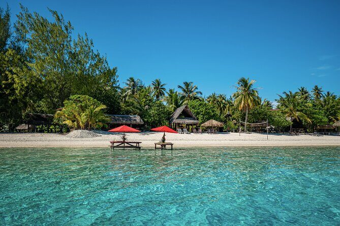 French Polynesia Snorkeling and 4X4 Adventure Tour with Buffet - An In-Depth Look at the Tour Experience