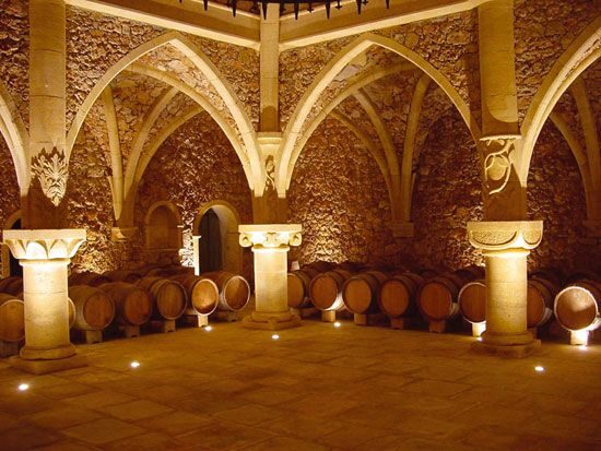 French Riviera: Provencal Wine Tour - Who Would Love This Tour?