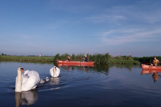 Fresh nose tour with the canoe through the nature near Amsterdam - FAQs