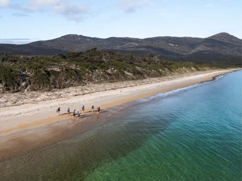 Freycinet: 5.5-Hr Small Group Guided Walk + Boat Experience - Final Thoughts: Who Will Love This Tour?