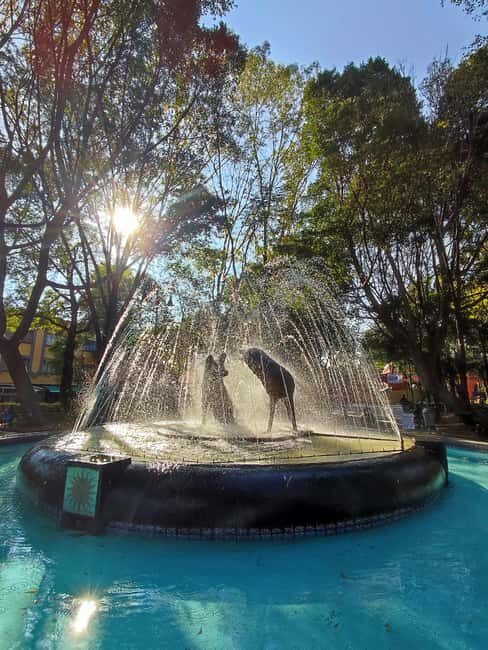 Frida Kahlo Museum Entry Ticket - Exploring the Frida Kahlo Museum Experience