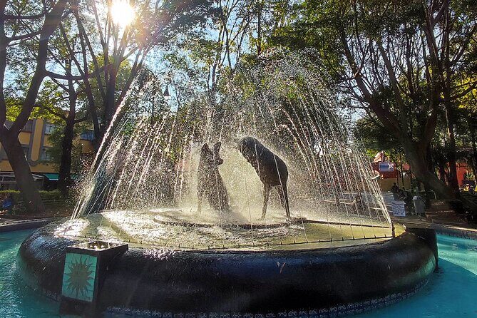 Frida Kahlo Museum with an expert - FAQ