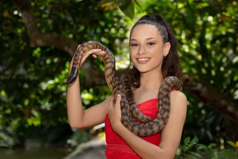 Friends in the Rainforest Package: Koala Gardens & Birdworld - Experience the Wildlife of Queensland: Friends in the Rainforest Package Review