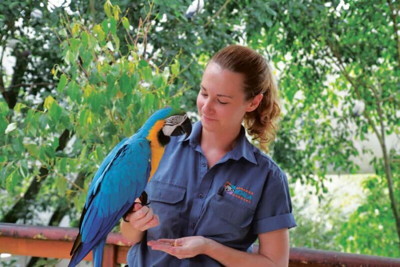 Friends in the Rainforest Package: Koala Gardens & Birdworld - Key Points