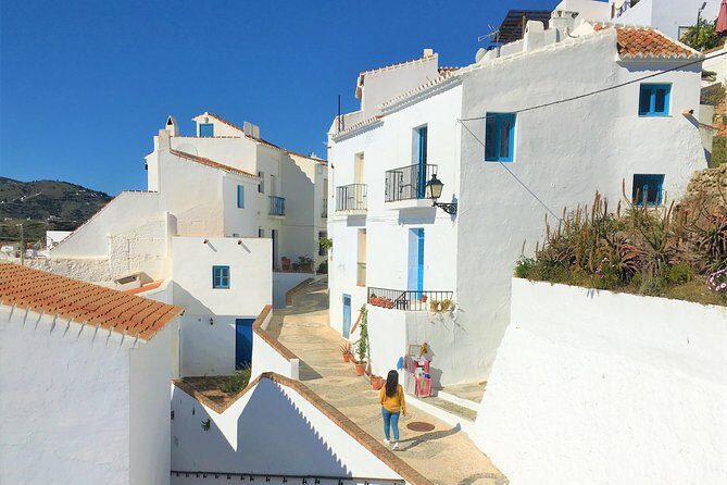 Frigiliana Small-Group Hike and Wine Tasting Tour from Malaga - Key Points
