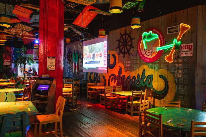 Frog's Pass Mexican Food & Fiesta - The Itinerary and Experience