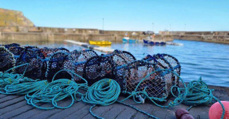 From Aberdeen: Coastal Villages of Aberdeenshire Tour - Key Points