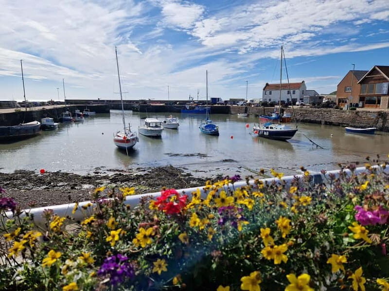 From Aberdeen: Guided Day Trip, Coast & Castle Visit - Key Points