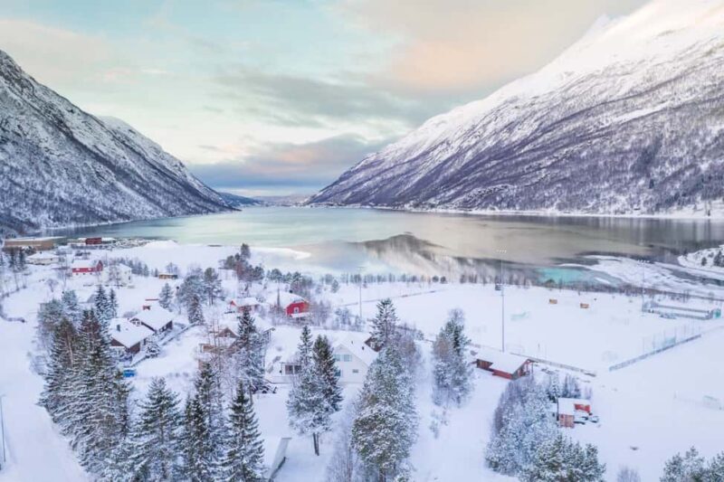 From Abisko: Narvik City and Fjord Day Trip - Key Points
