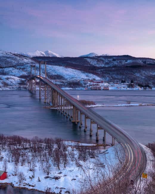 From Abisko: Narvik City and Fjord Day Trip - Who Would Love This Tour?