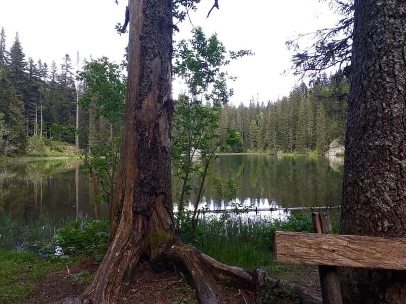 From abljak: Durmitor National Park Private Hiking Tour - Key Points