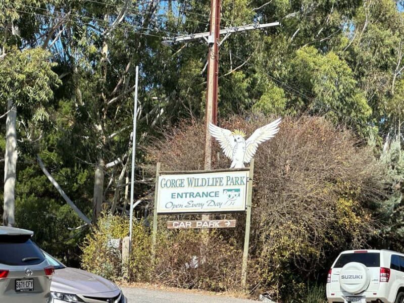 From Adelaide: Cuddle a Koala and Historic Hahndorf Tour - Final Thoughts