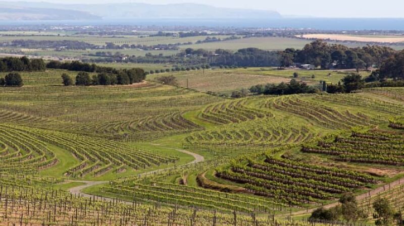 From Adelaide: McLaren Vale Winery Tour with Hahndorf Stop - Key Points