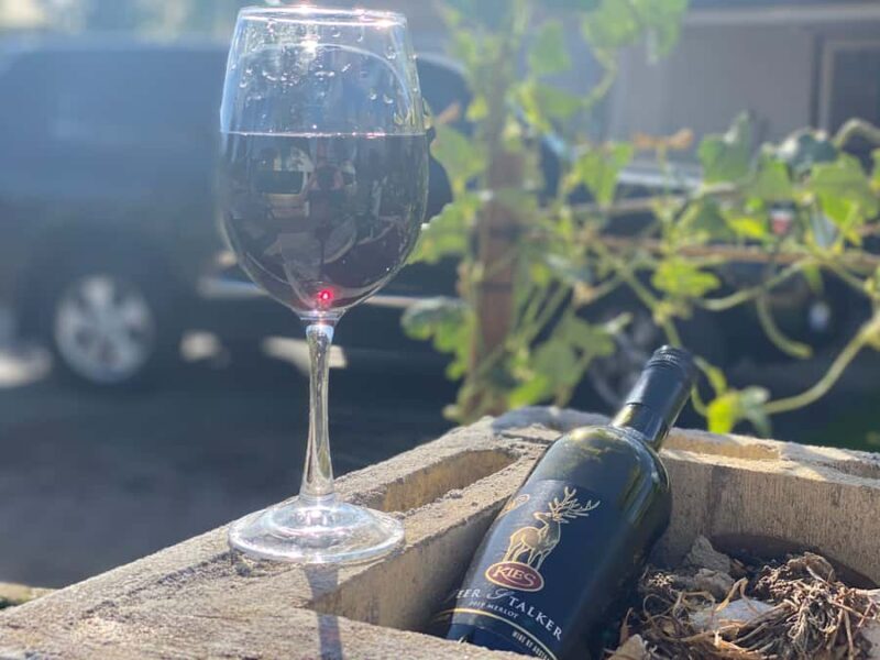 From Adelaide: McLaren Vale Winery Tour with Hahndorf Stop - Who Should Consider This Tour?