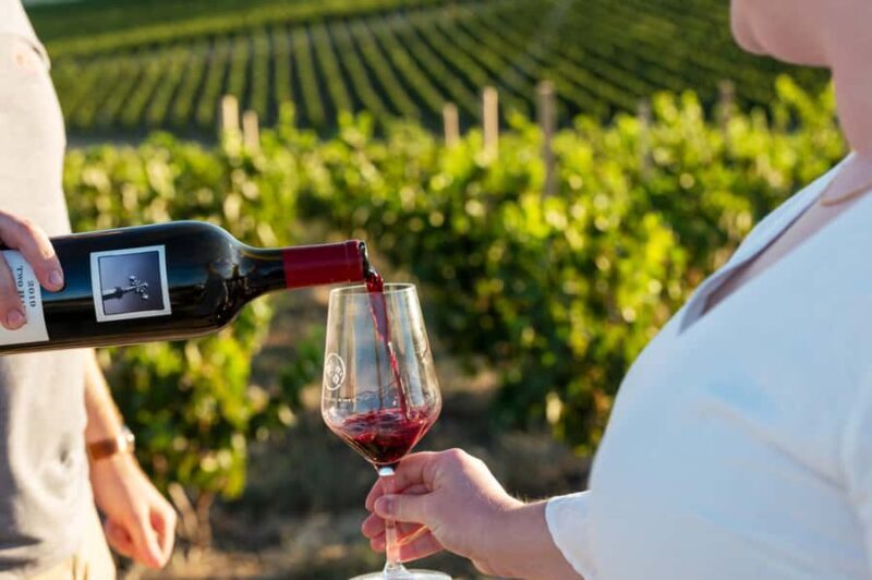 From Adelaide or Barossa: Boutique Barossa Valley Wine Tour - Key Points