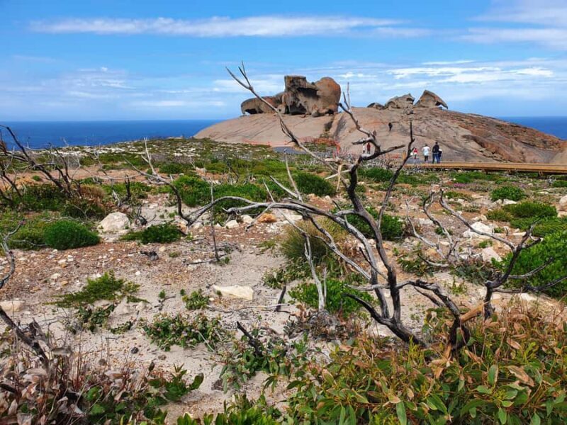 From Adelaide: Premium 2-Day Kangaroo Island Minibus Tour - Who Will Love This Tour?