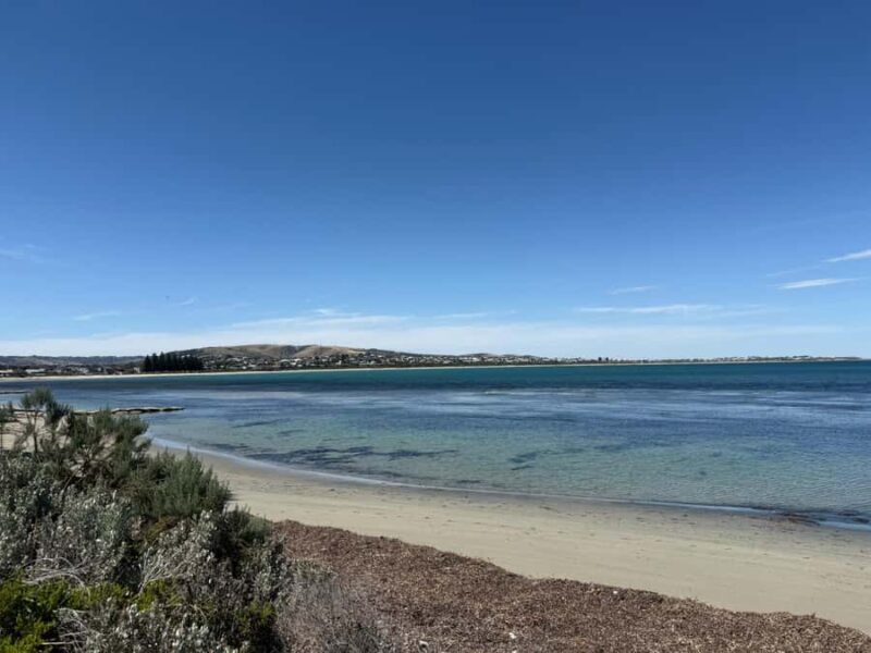 From Adelaide: South Australia Full-Day Tour - An Overview of the Experience