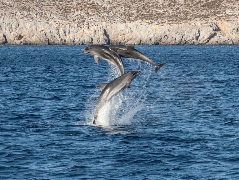 From Ag Anna: Rina's Cave and Ano and Kato Koufonisi Cruise - FAQs