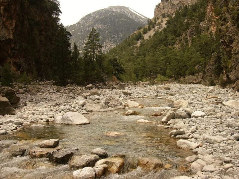 From Agia Galini/Matala: Samaria Gorge Hiking Tour - An In-Depth Look at the Samaria Gorge Tour